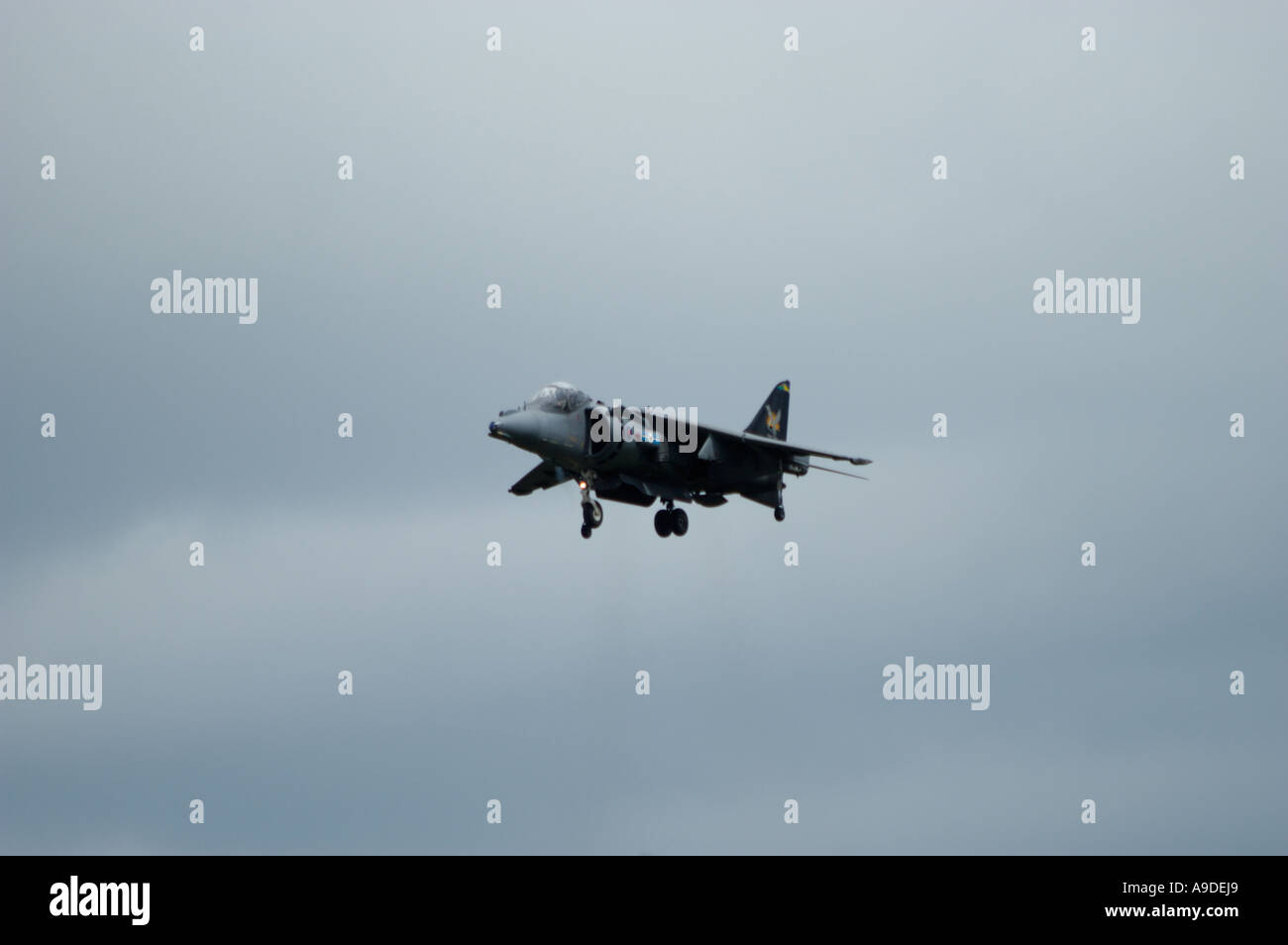 Harrier Gr7 Iraq War High Resolution Stock Photography and Images - Alamy