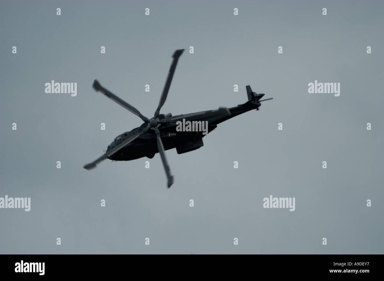 RAF Merlin Helicopter Stock Photo - Alamy