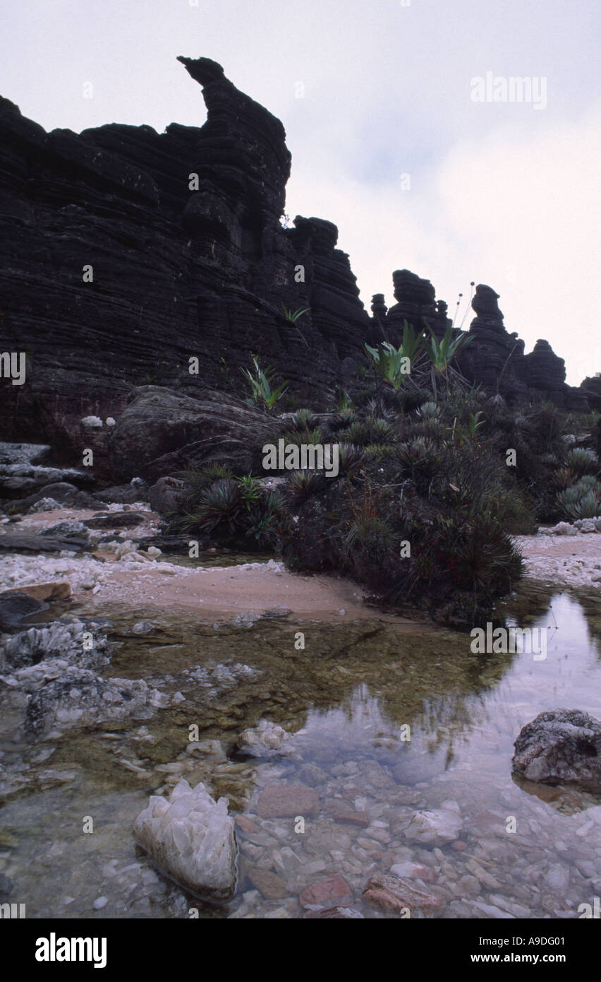 Quartz crystals sparkle in a clear sandy stream atop Monte Roraima in ...