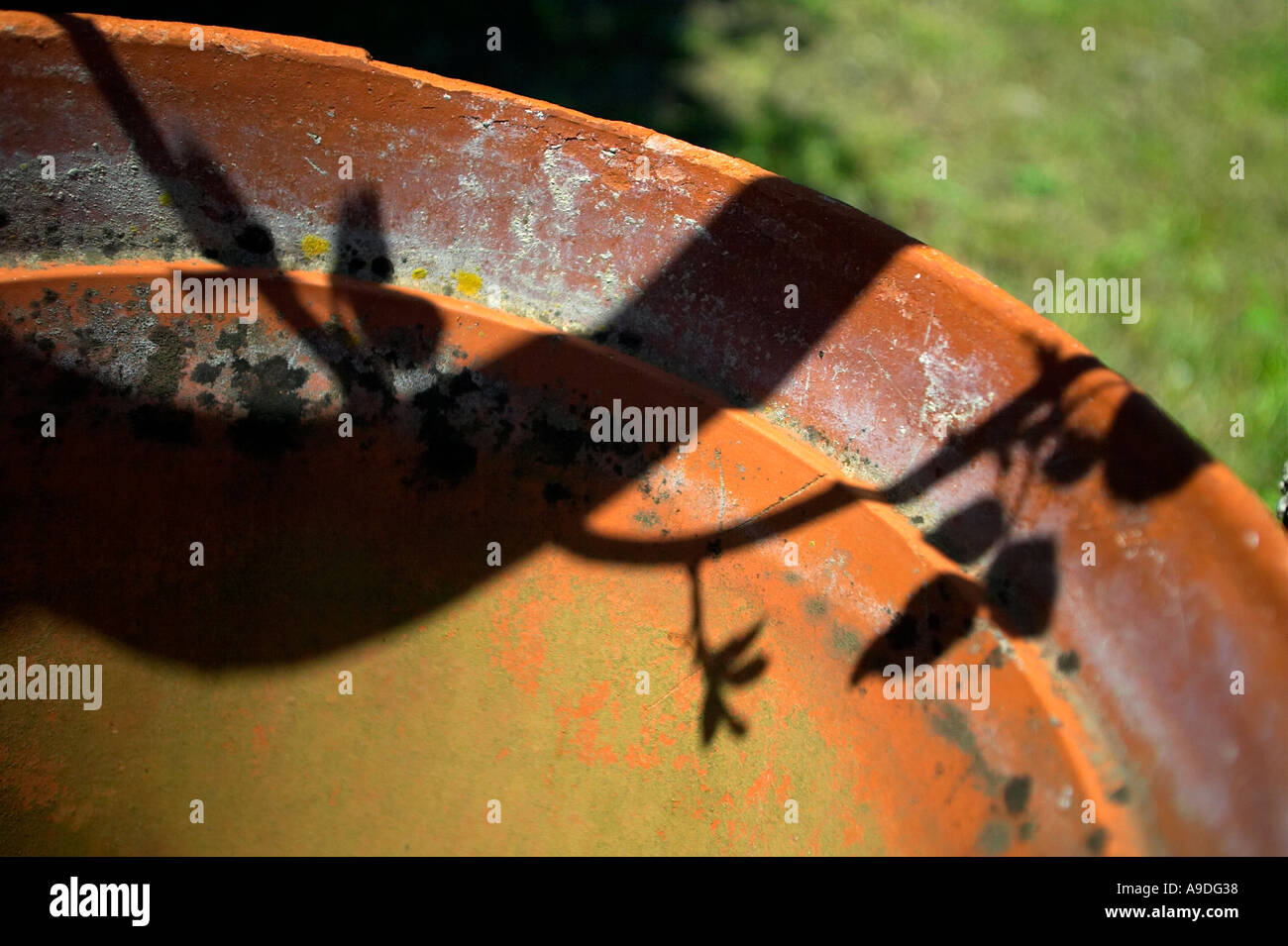 Shadow on a terracotta pot Stock Photo - Alamy