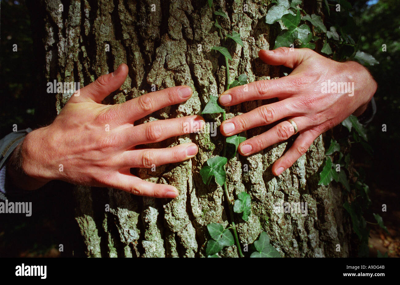 Feeling tree hi-res stock photography and images - Alamy