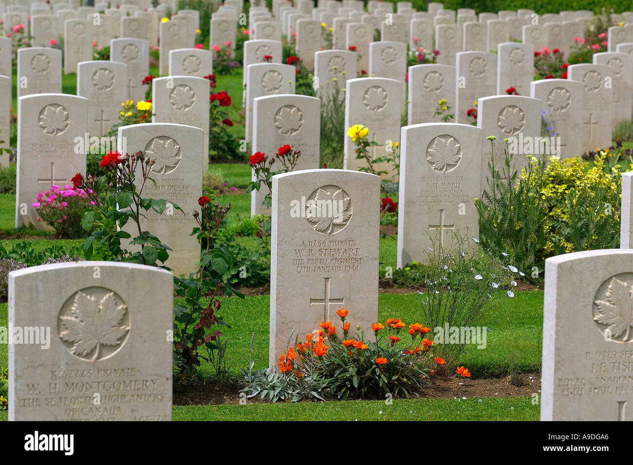 Canadian commonwealth hi-res stock photography and images - Alamy