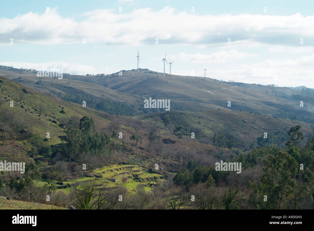 wind farm in Portugal Stock Photo - Alamy