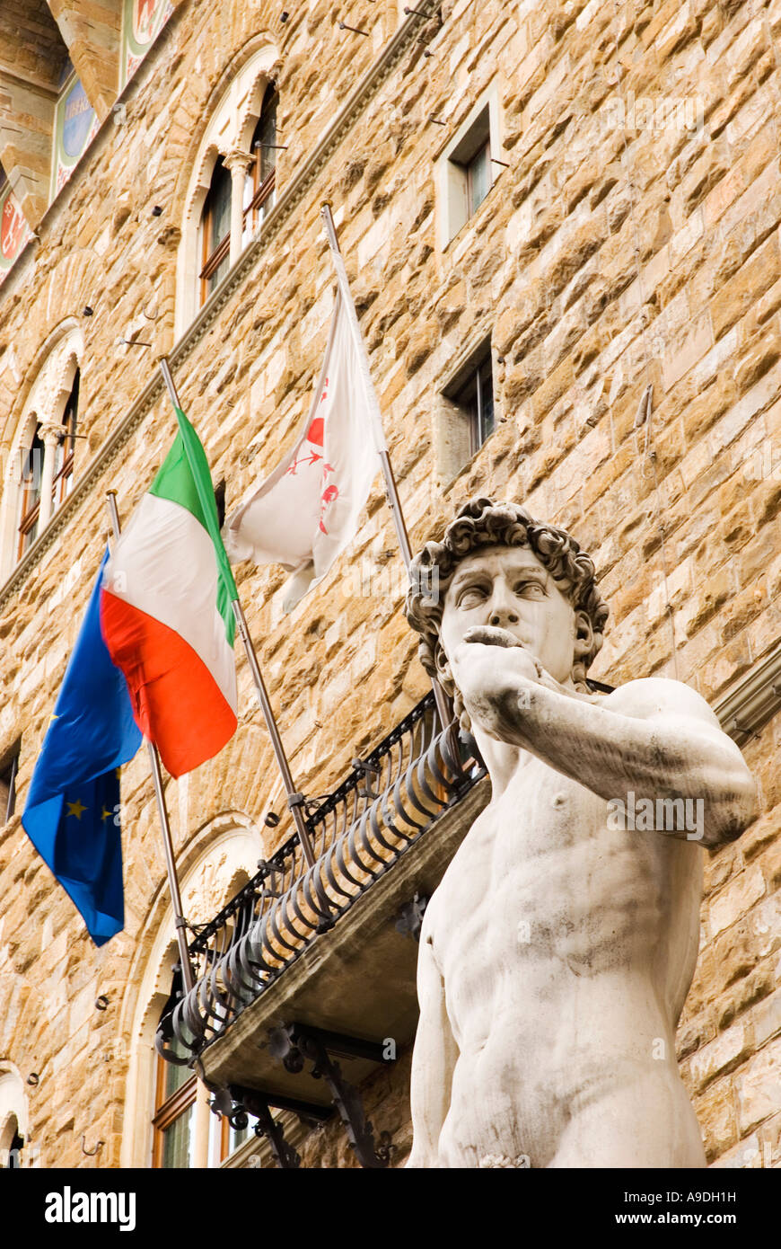 Michelangelo’s David, Piazza della Signoria, Florence, Italy Stock ...
