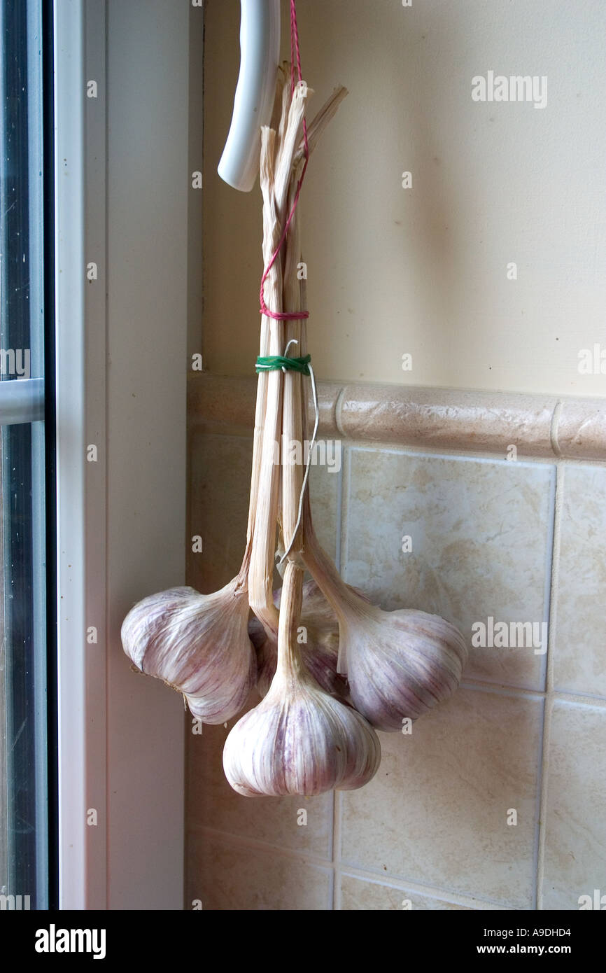 Pungent odor hi-res stock photography and images - Alamy