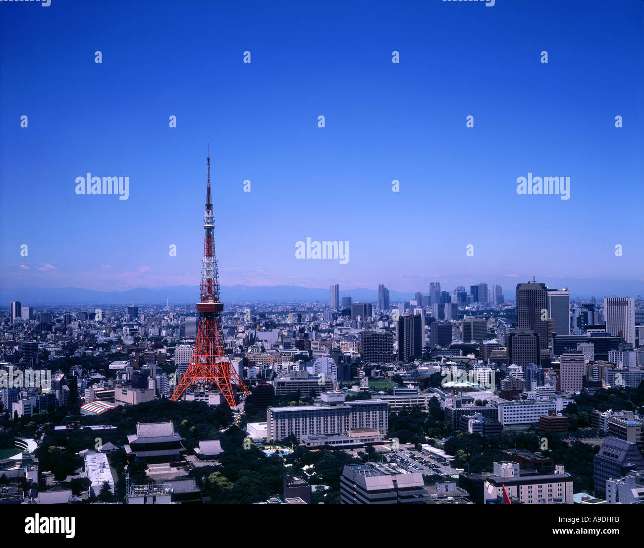 Night view of Shinjuku Tokyo Japan Stock Photo - Alamy