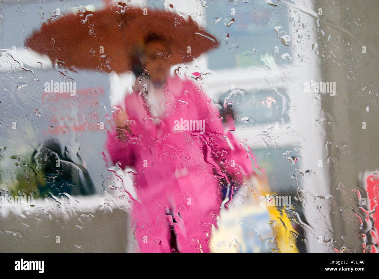 Shopper leaving grocery store with umbrella in the rain. Rzeczyca ...