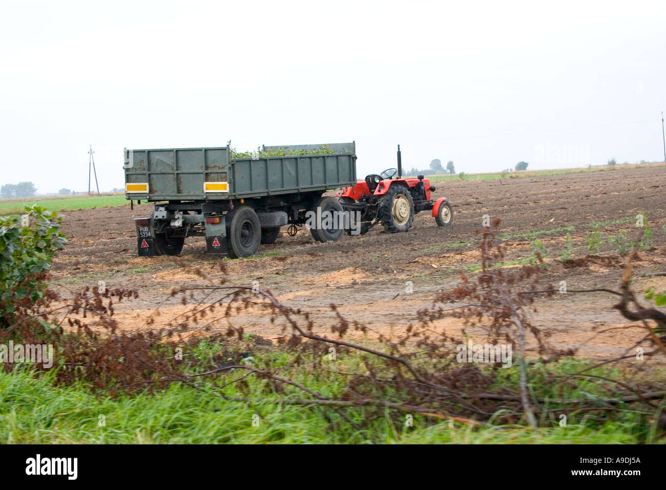 Polish farm hi-res stock photography and images - Alamy