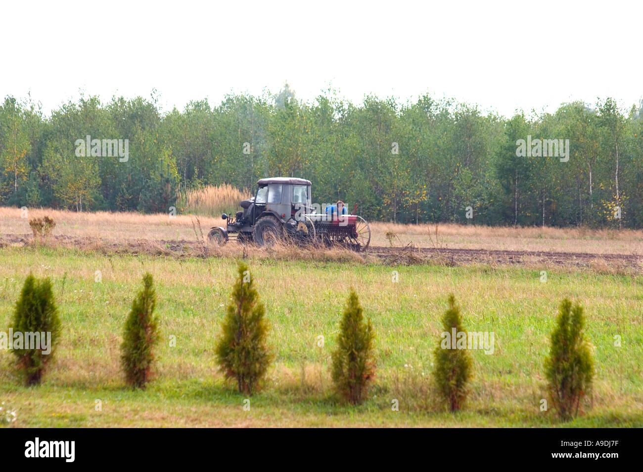 Tree planting tractor planting machine hi-res stock photography and ...