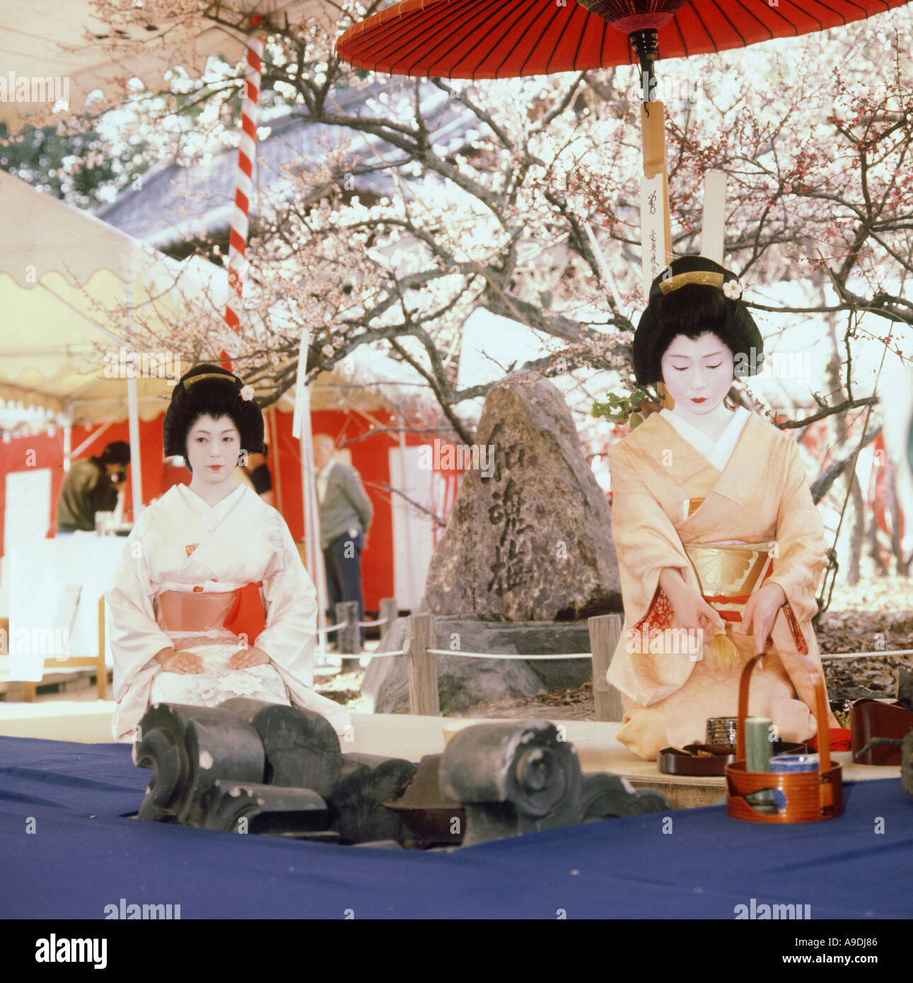 Geishas at tea ceremony Kyoto Japan Stock Photo - Alamy
