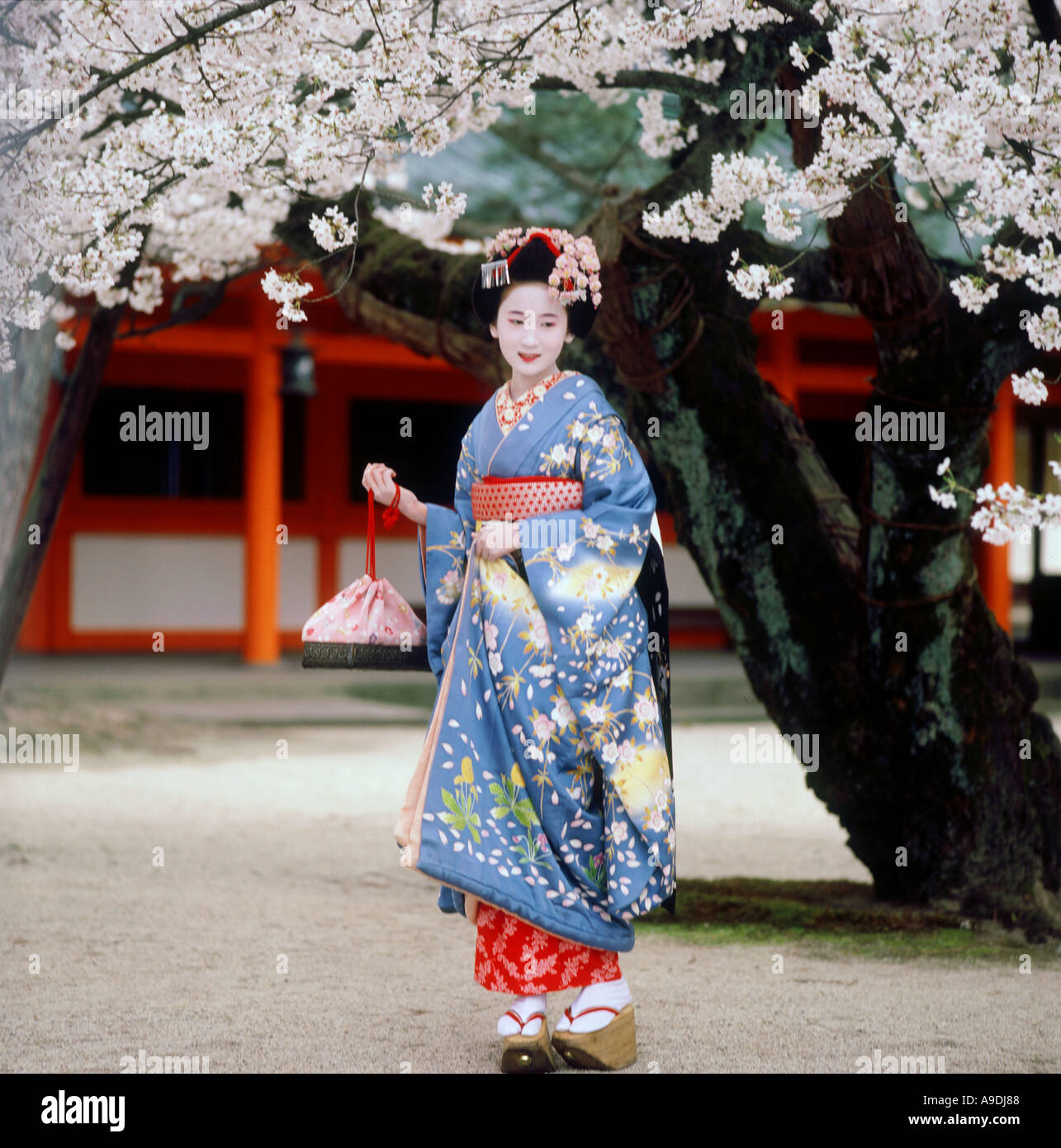 Maiko Kyoto Japan Stock Photo - Alamy