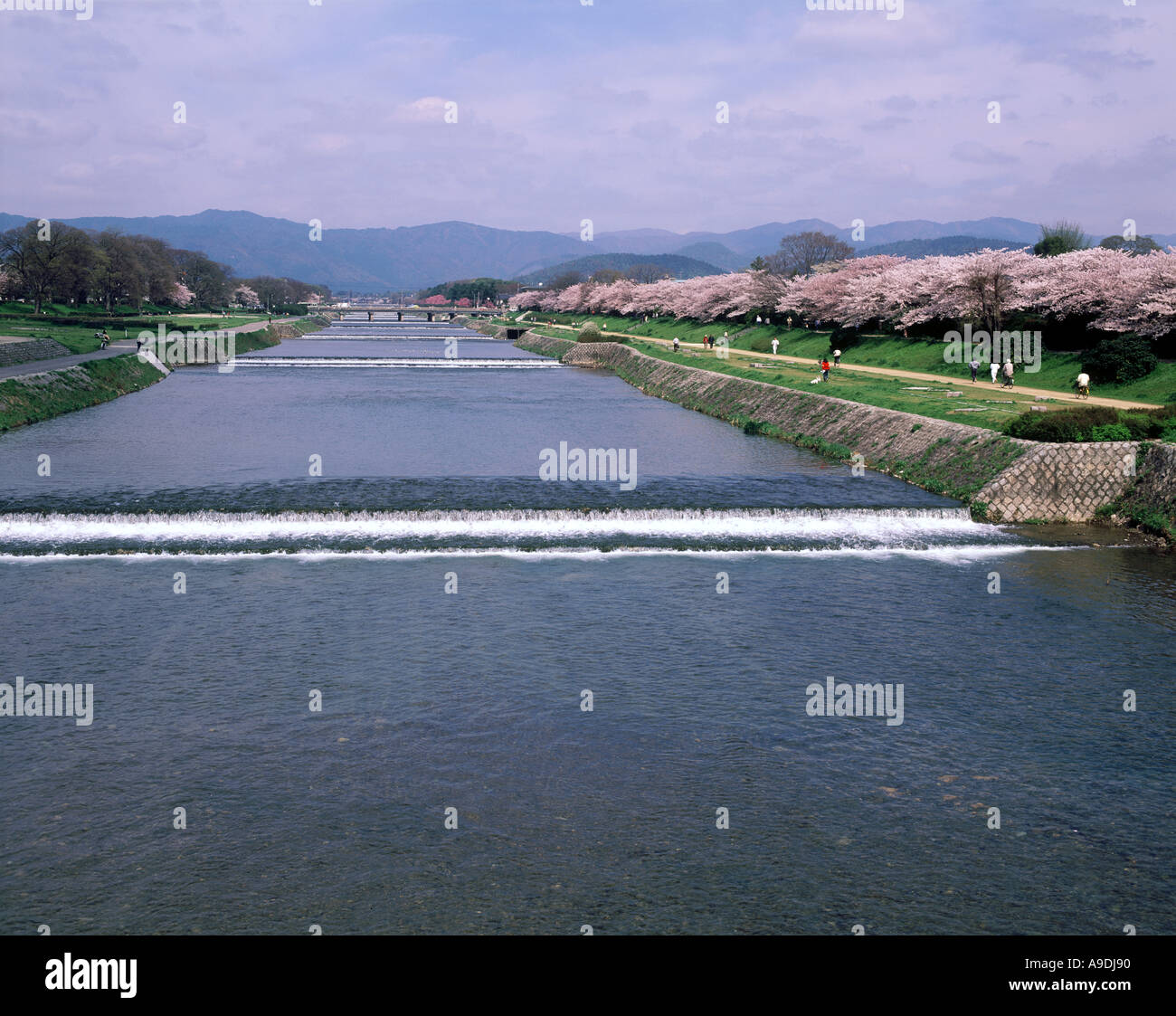 Japanese spring river hi-res stock photography and images - Alamy