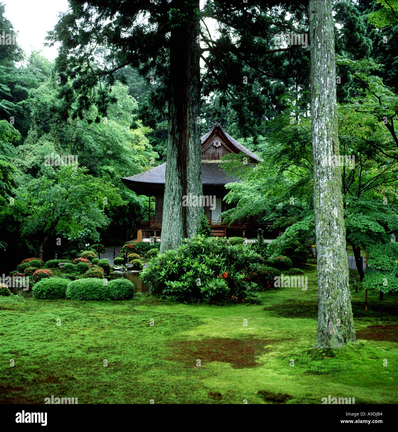 Sanzen in Temple Kyoto Japan Stock Photo - Alamy