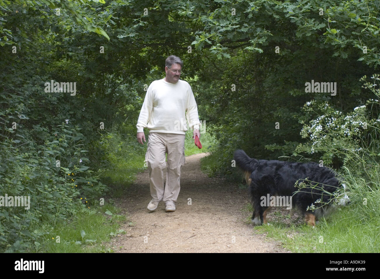 Man walking dog country lane hi-res stock photography and images - Alamy