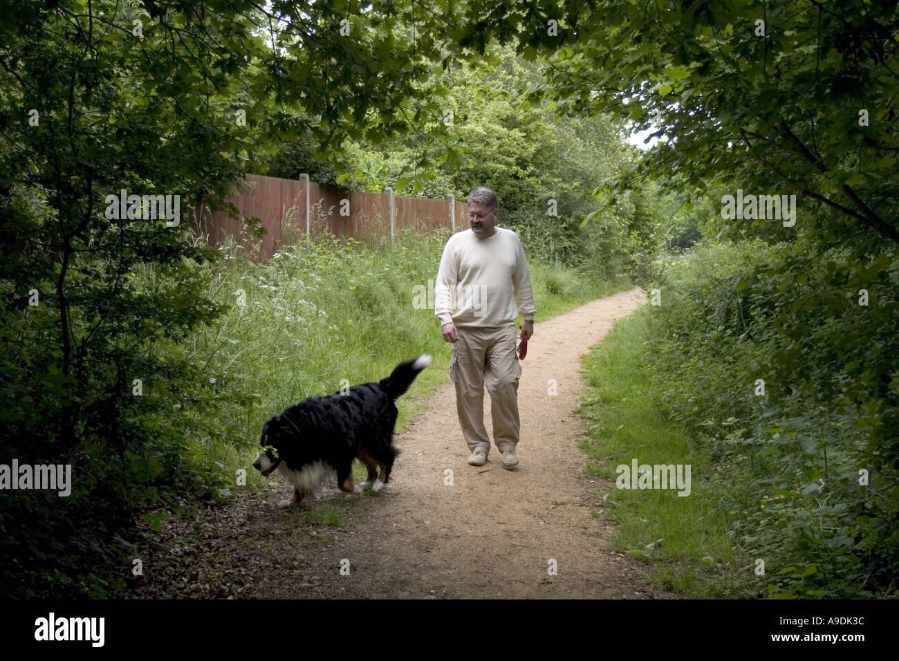 Man walking dog country lane hi-res stock photography and images - Alamy