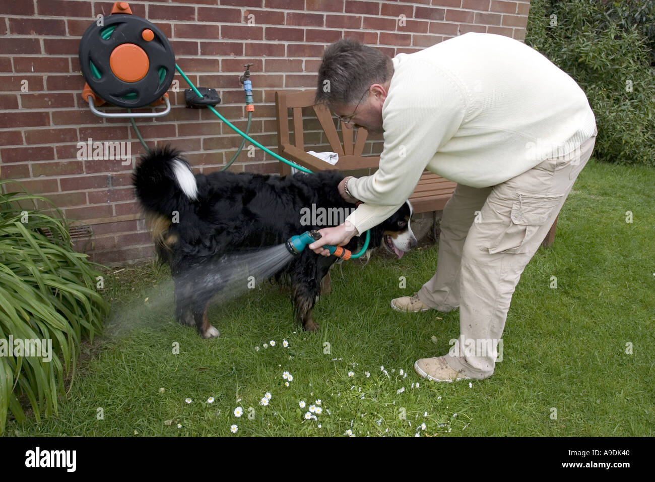 Being hosed down hi-res stock photography and images - Alamy