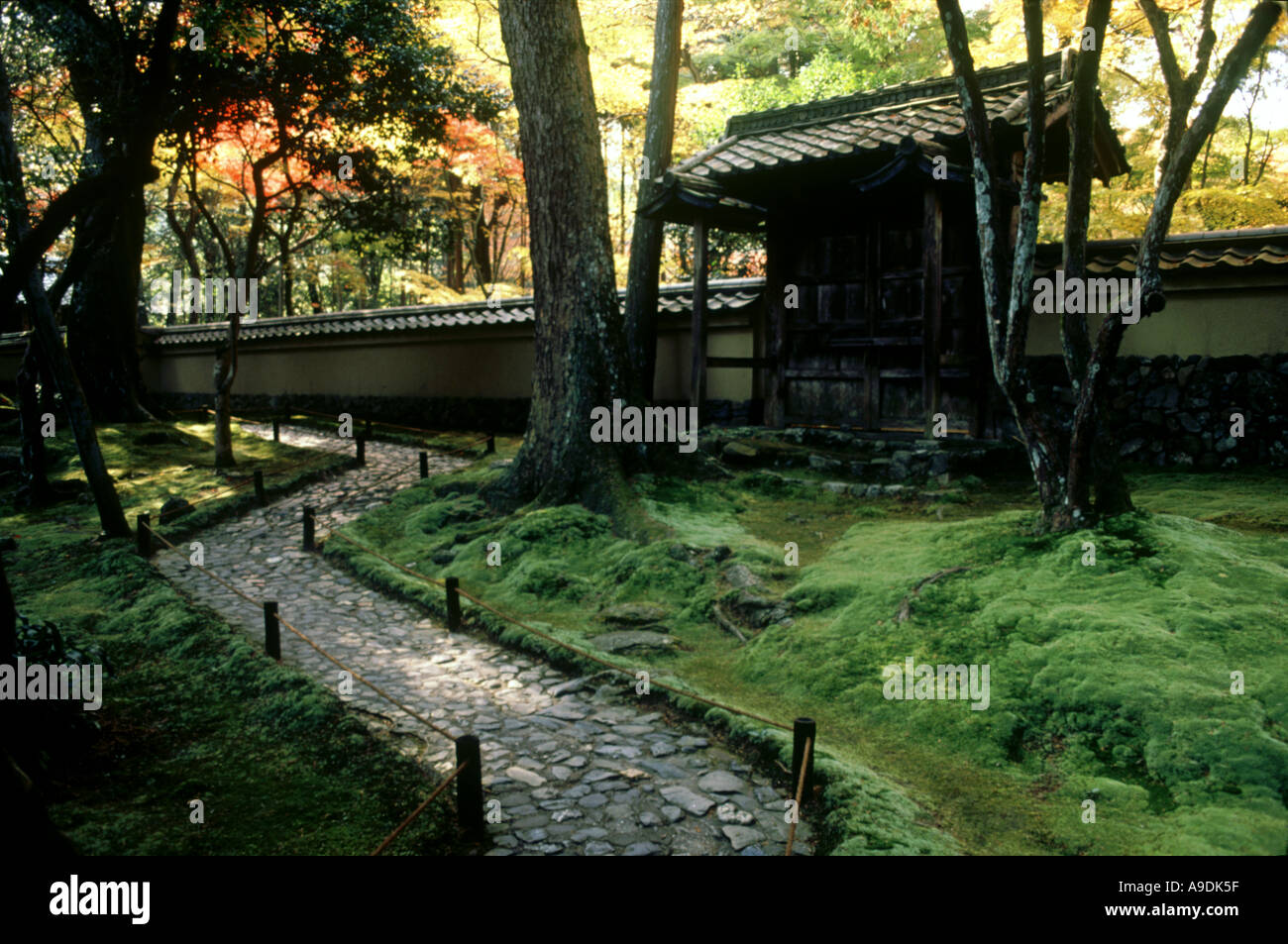 Moss garden Saiho ji Temple Kyoto Japan Stock Photo - Alamy