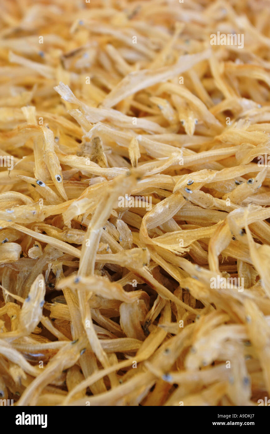 miniature dried fish - Chinese market Stock Photo - Alamy