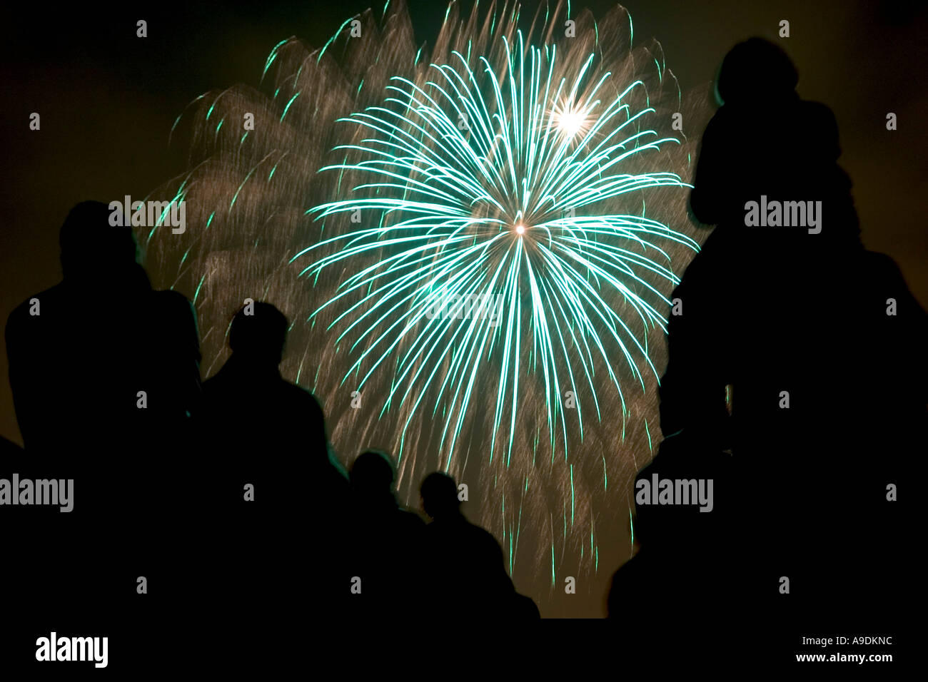 People watching fireworks Stock Photo - Alamy