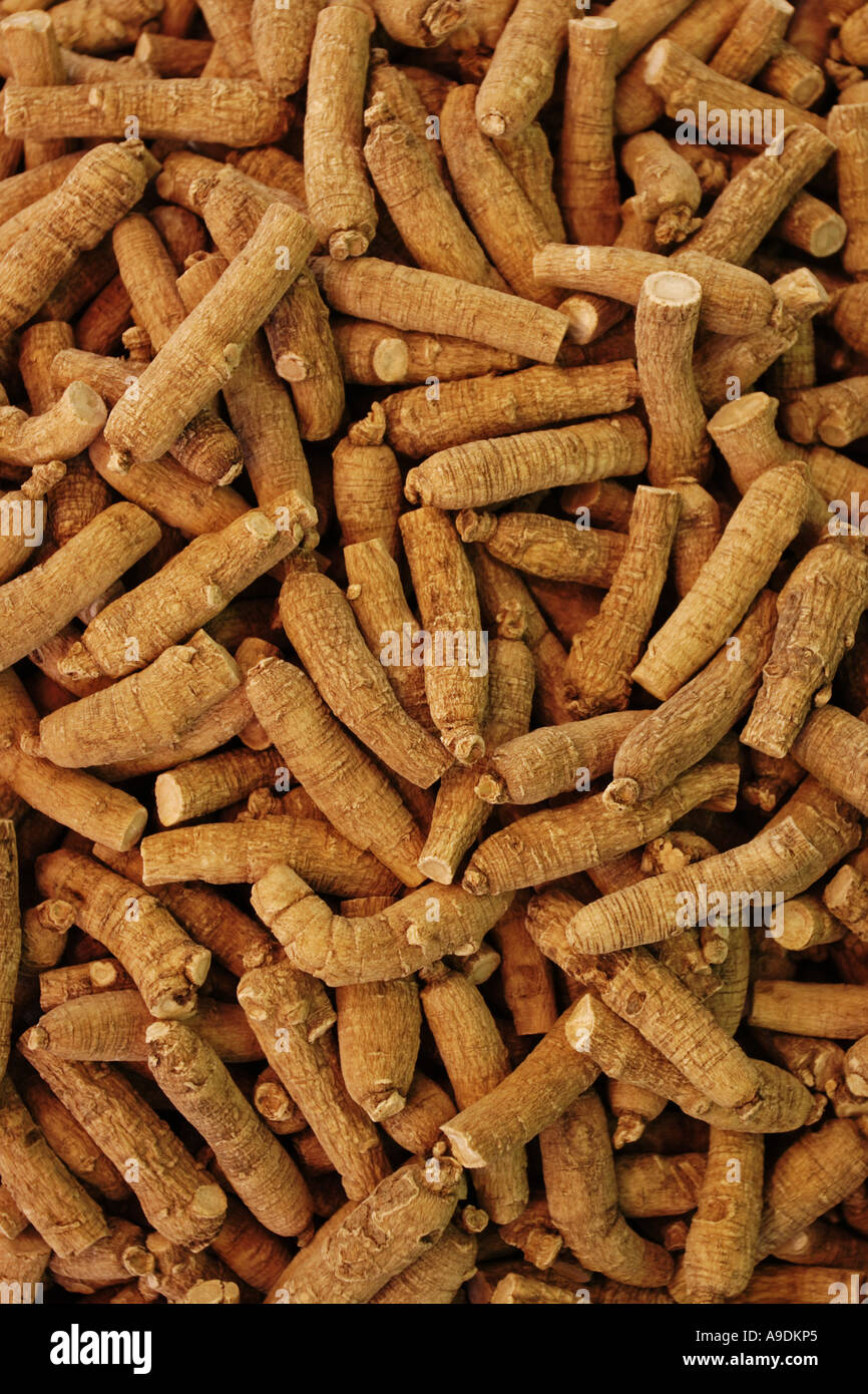 Close up ginseng root hi-res stock photography and images - Alamy
