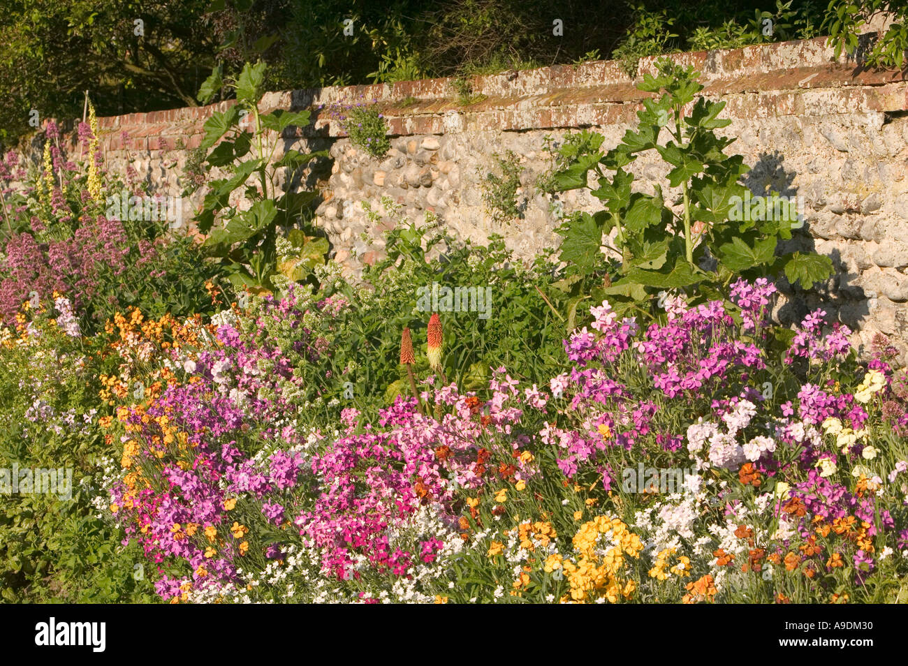 Norfolk border hi-res stock photography and images - Alamy