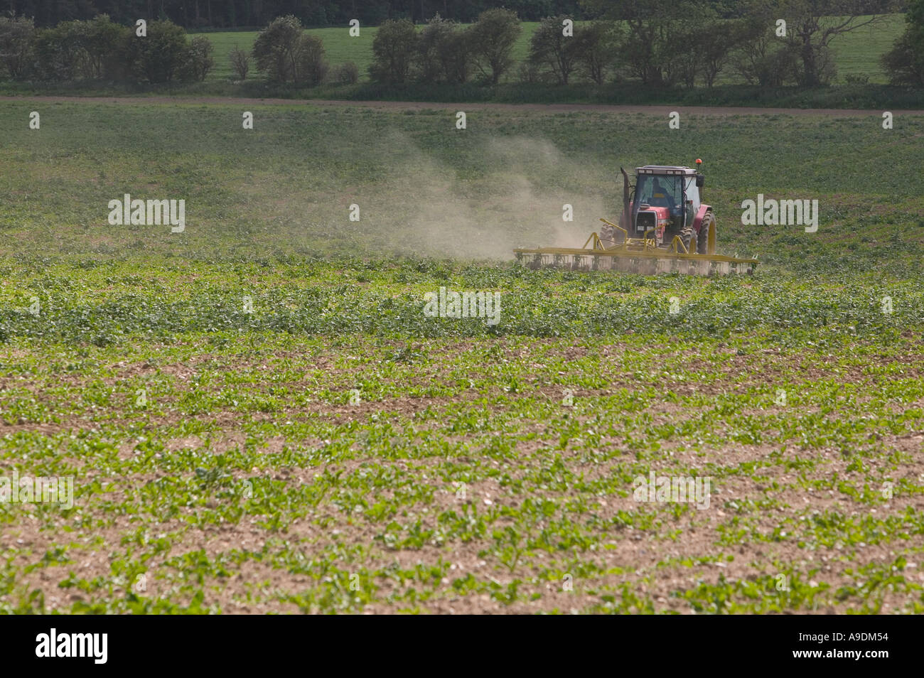 Soil erosion wind hi-res stock photography and images - Alamy