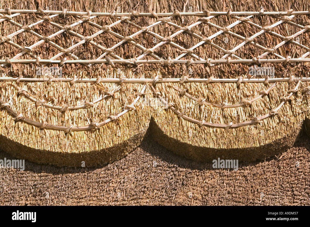 Thatched roof hall house hi-res stock photography and images - Alamy