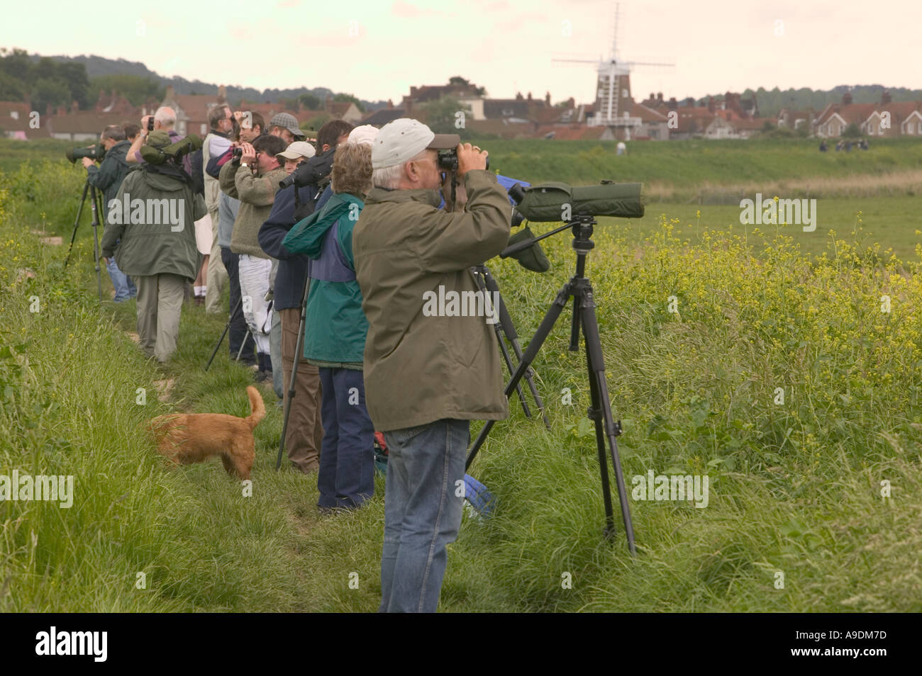 Black bird watchers hi-res stock photography and images - Alamy