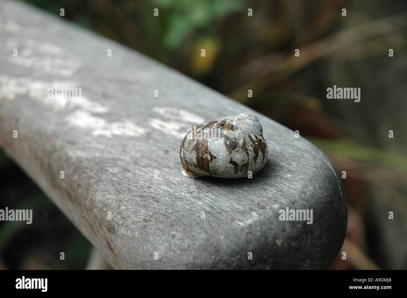 Fragile chair hi-res stock photography and images - Alamy
