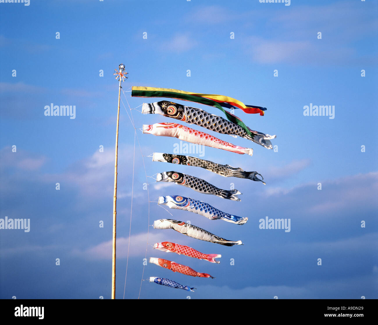 Carp banners hi-res stock photography and images - Alamy