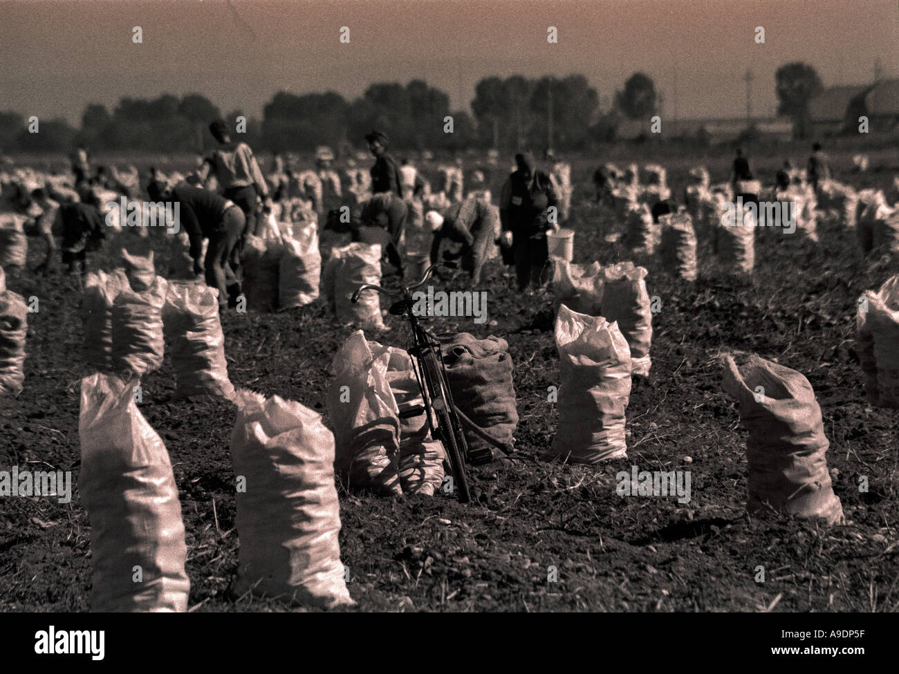 Primitive soil hi-res stock photography and images - Alamy