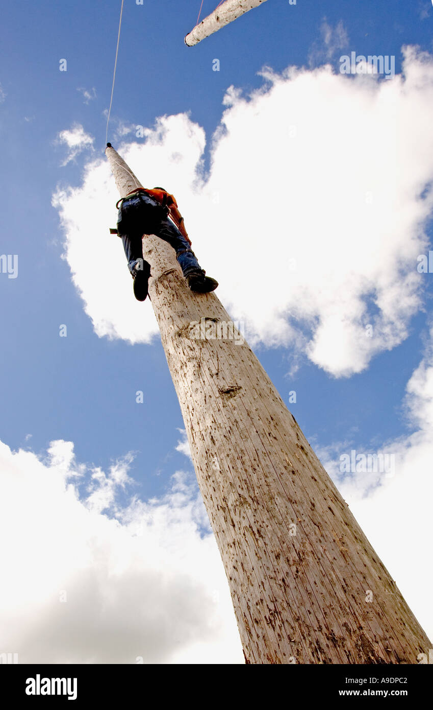 Tree climbing competition Wales 2005 Stock Photo - Alamy