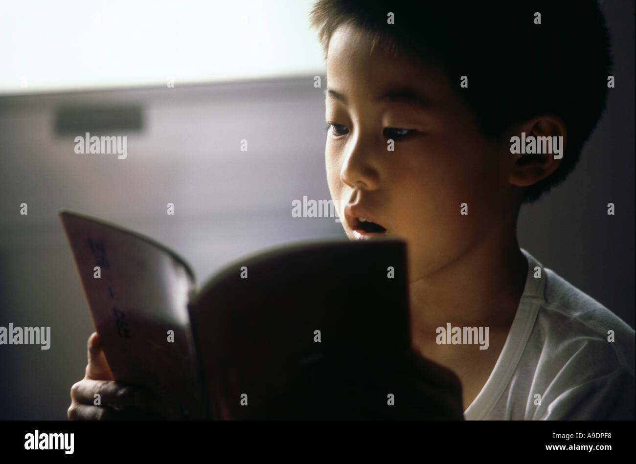 A boy reading a textbook Japan Stock Photo - Alamy