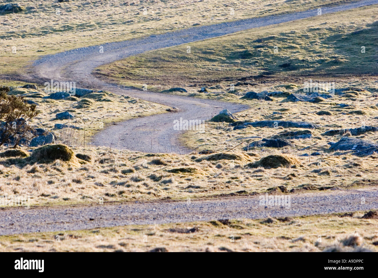 Winding gravel track Stock Photo - Alamy