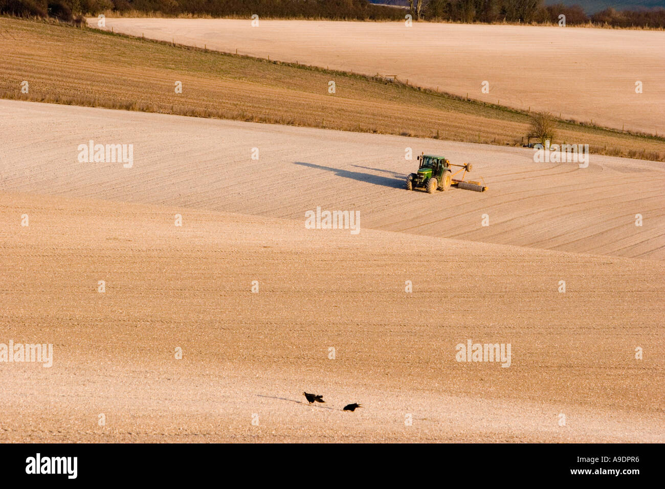 Chalk soil hi-res stock photography and images - Alamy