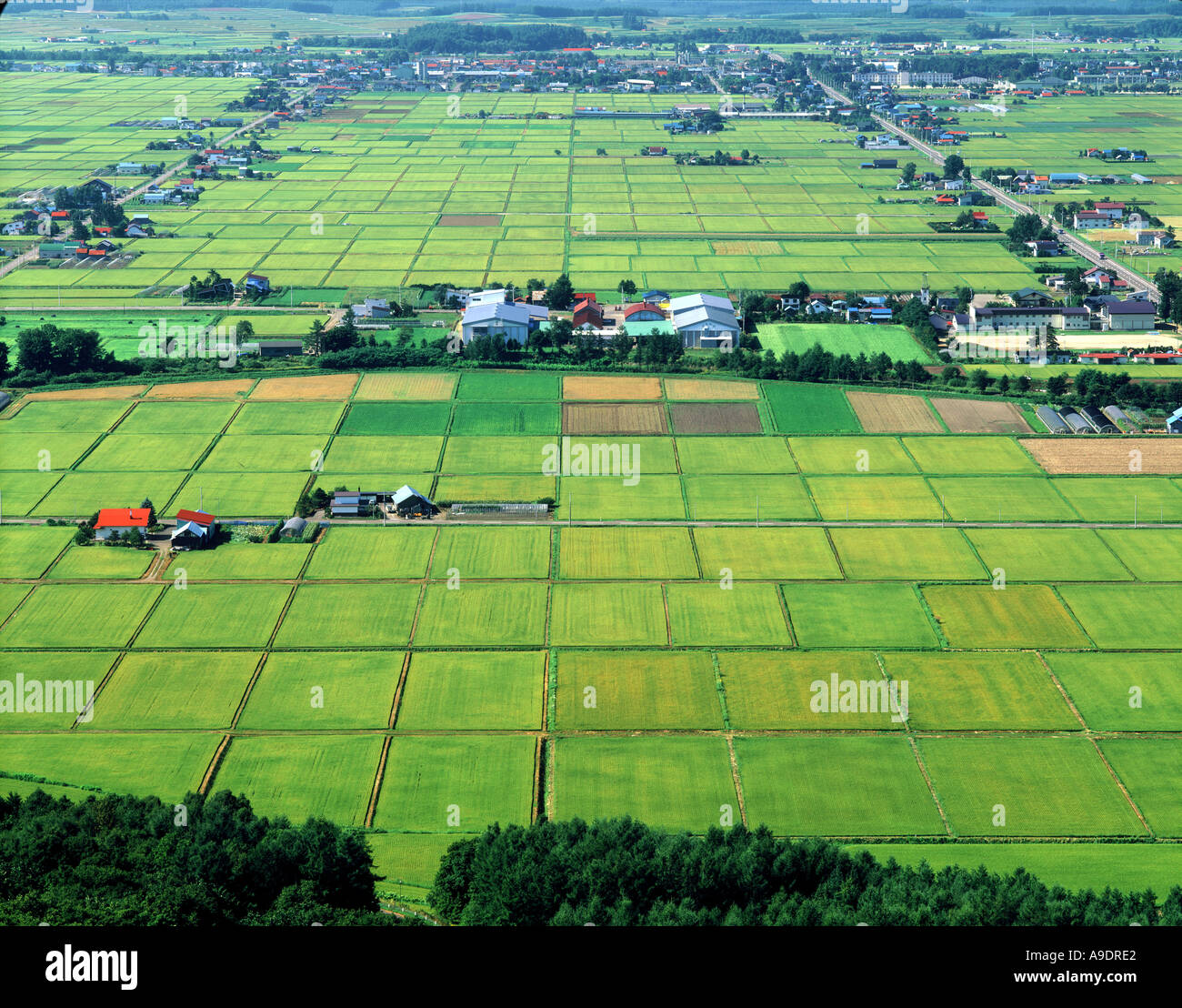 Rice field japan hi-res stock photography and images - Alamy