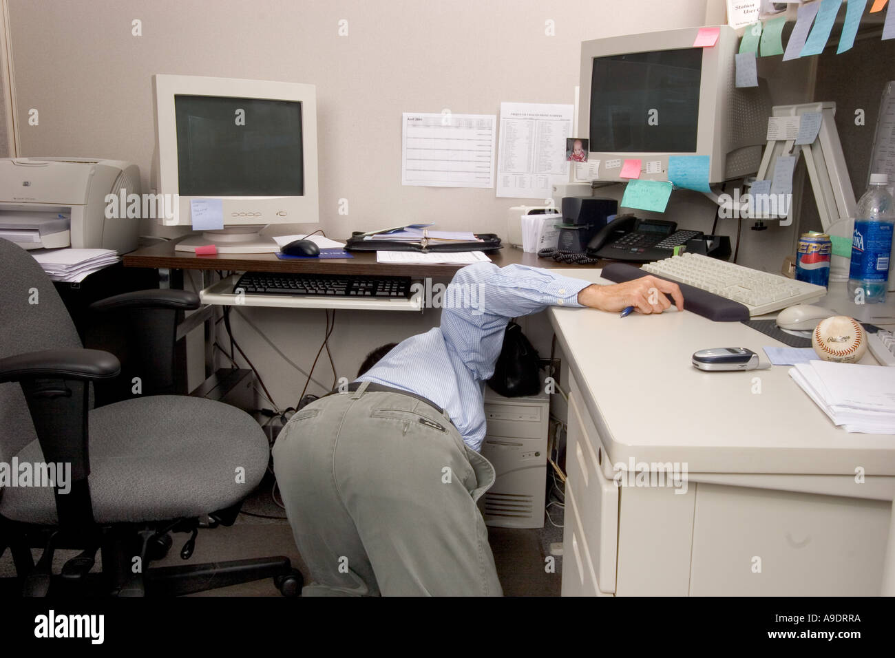 office worker looks under desk Stock Photo - Alamy