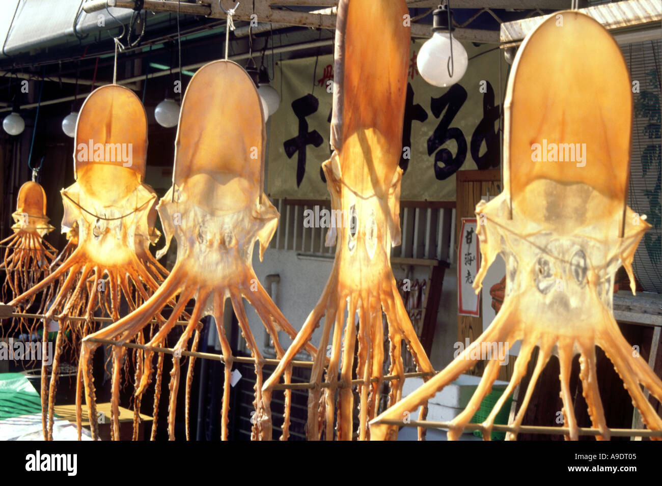 Dried octopus Kyoto Japan Stock Photo - Alamy