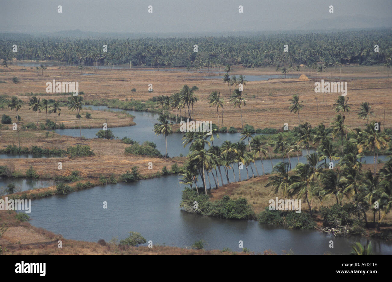 GOA View of Colva hinterland Stock Photo - Alamy
