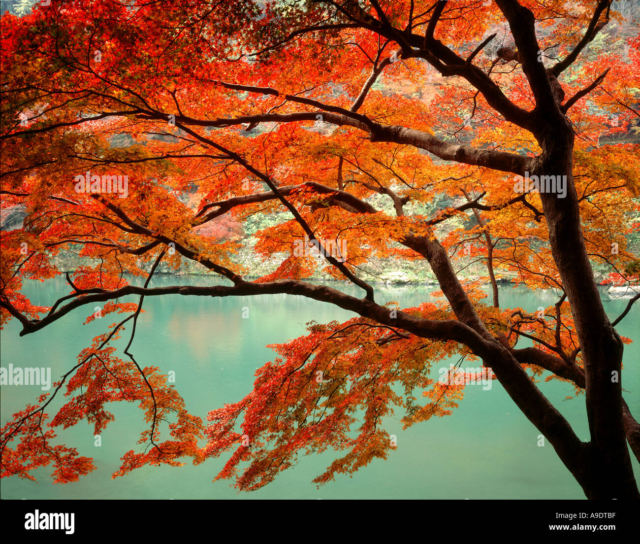 Arashi yama hi-res stock photography and images - Alamy