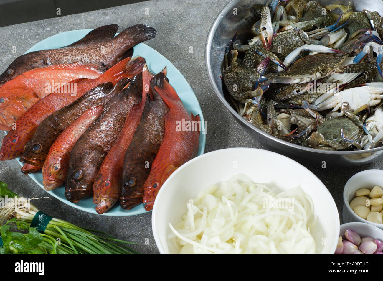Coral trout hi-res stock photography and images - Alamy