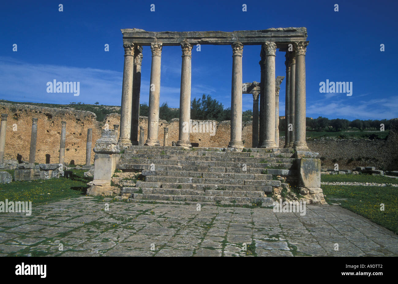Roman Temple at the ruins in Dougga Stock Photo - Alamy