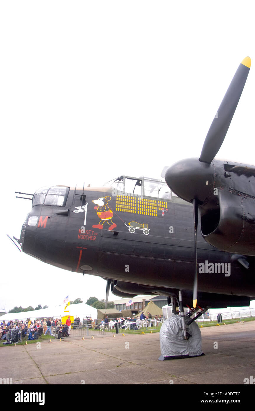 Moocher hi-res stock photography and images - Alamy