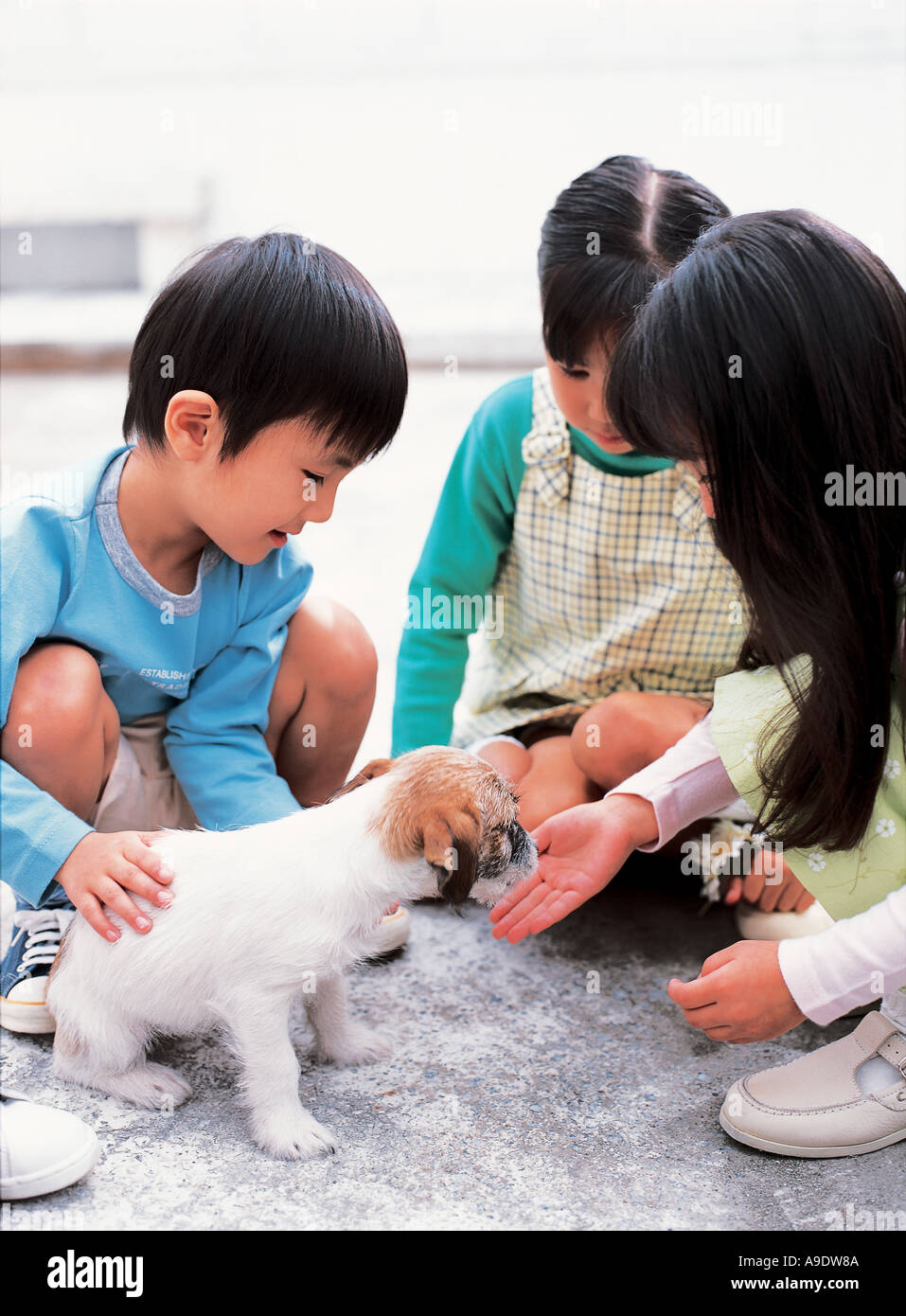 Children with dog Stock Photo - Alamy