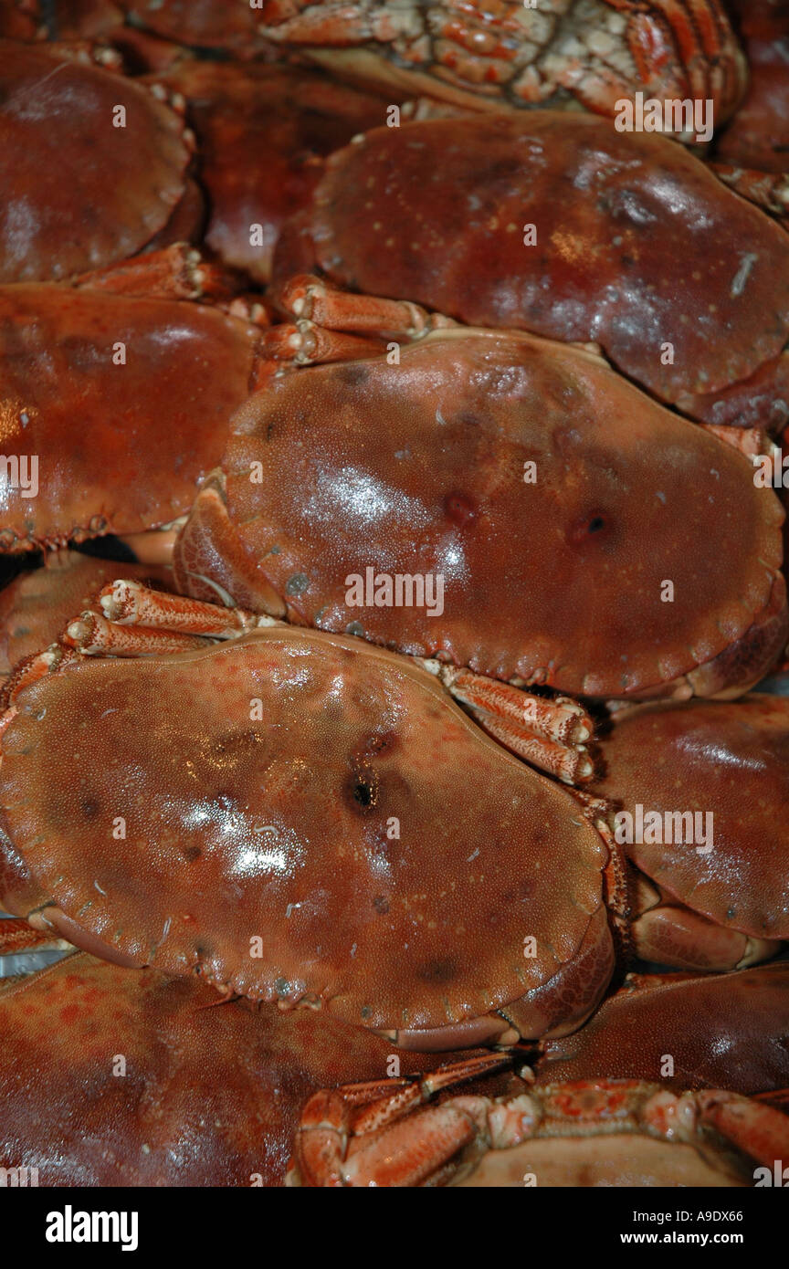 French fishmongers hi-res stock photography and images - Alamy