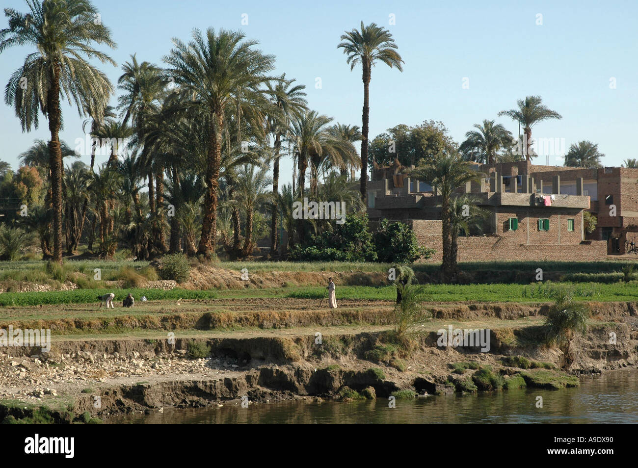 Nile river egypt farm farmer hi-res stock photography and images - Alamy