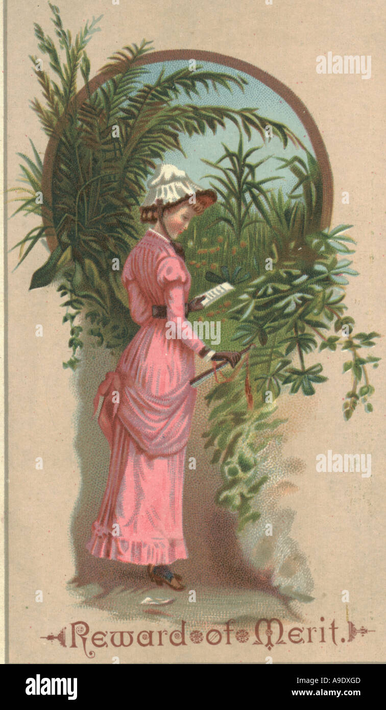 Reward of Merit card circa 1880 Stock Photo - Alamy