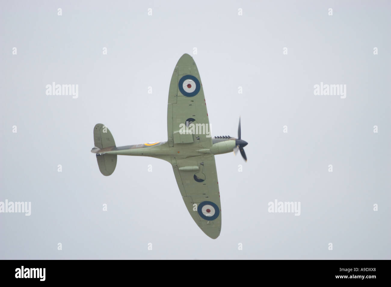 Spitfire war plane on display hi-res stock photography and images - Alamy