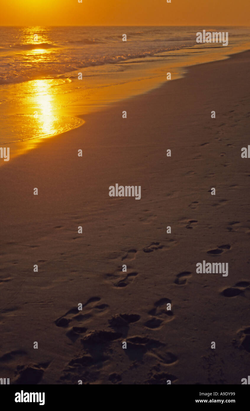 Footprints disappearing sea hi-res stock photography and images - Alamy