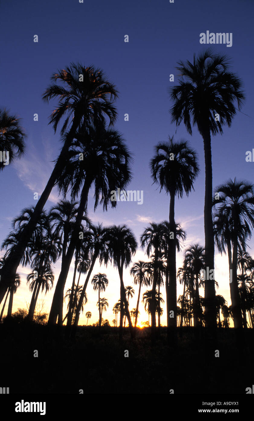 El Palmar National Park, Province of Entre Rios, Argentina Stock Photo ...